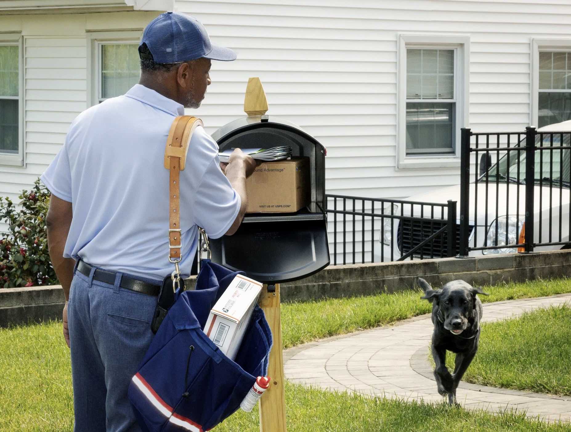 Dog Attacks On Mail Carriers Jump To Seven-Year High – The Gotham Reporter